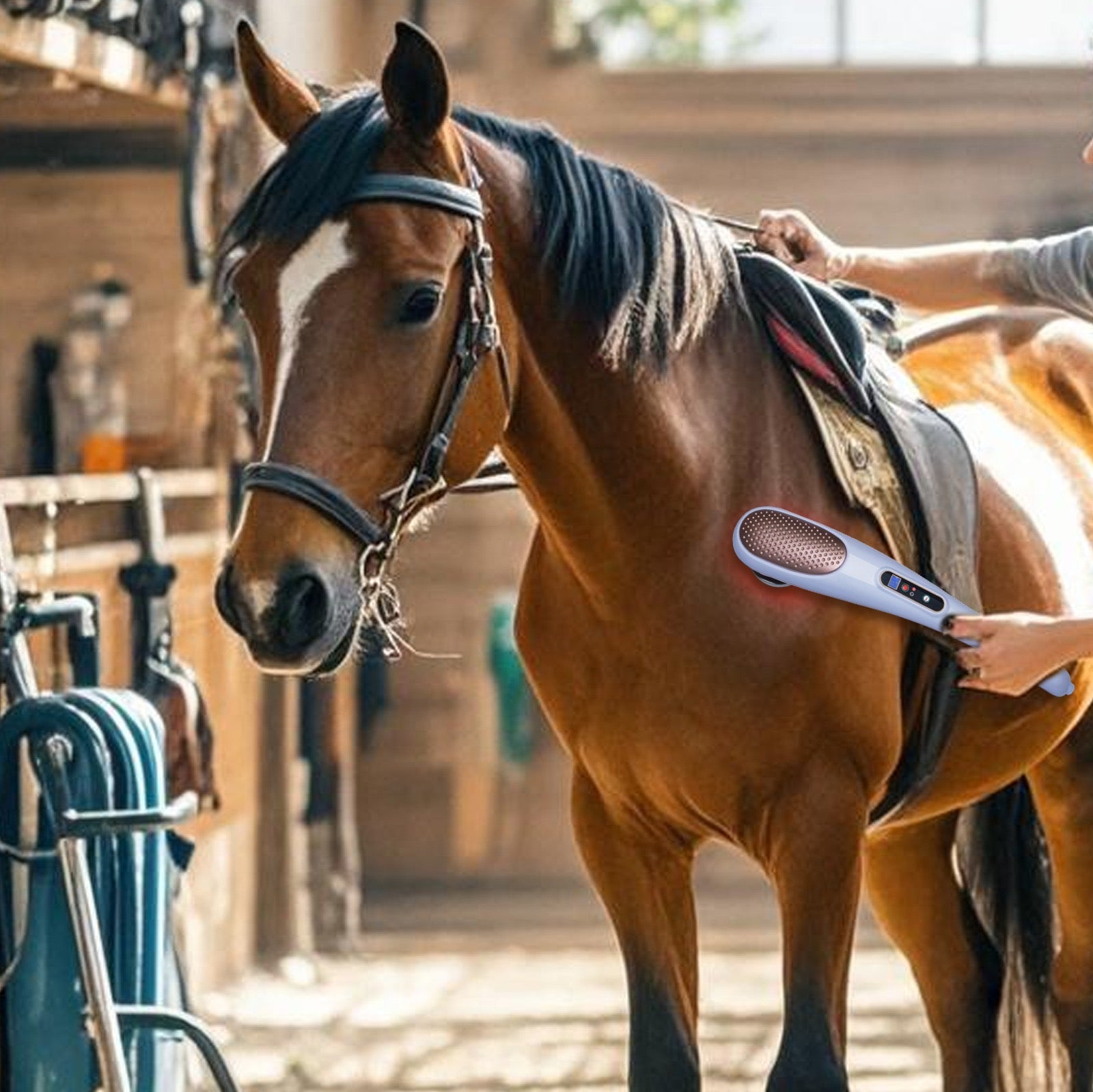 JuvaBlaze Equine Therapy Handheld LED Pain Relief Wand – Juvawave