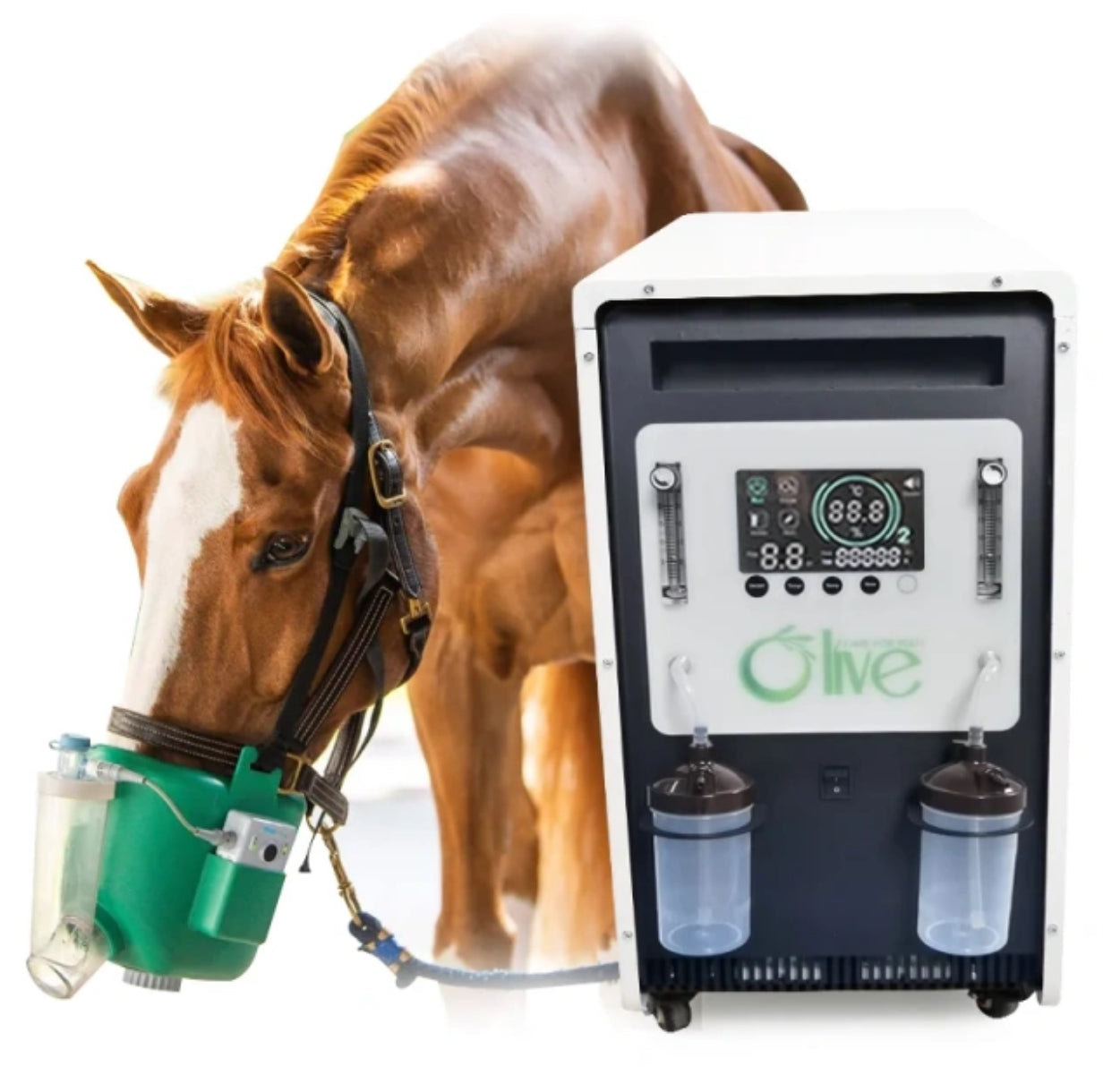 High Flow Veterinarian Uses Horse Cow 20L Oxygen Concentrator – Juvawave